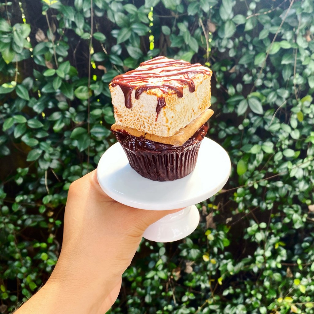 Cupcakes – Habibi Cakes