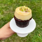 Cupcakes – Habibi Cakes