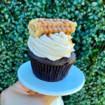 Cupcakes – Habibi Cakes
