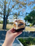 Cupcakes – Habibi Cakes
