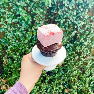 Cupcakes – Habibi Cakes